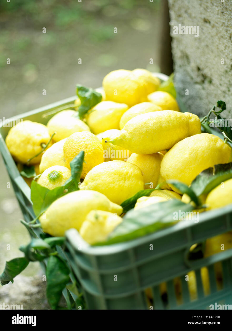Italy to color hi-res stock photography and images - Alamy