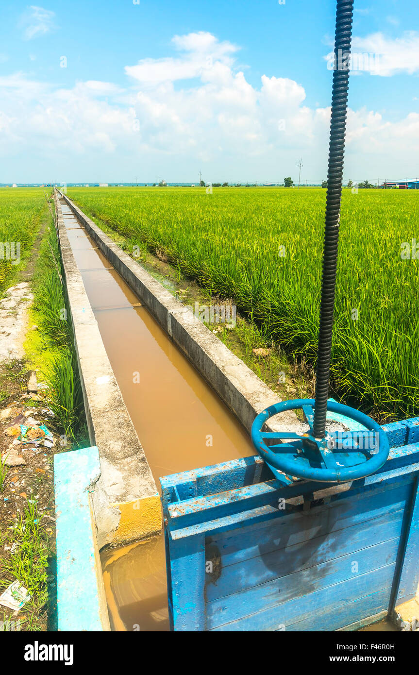 Water Control valve at paddy field Stock Photo - Alamy