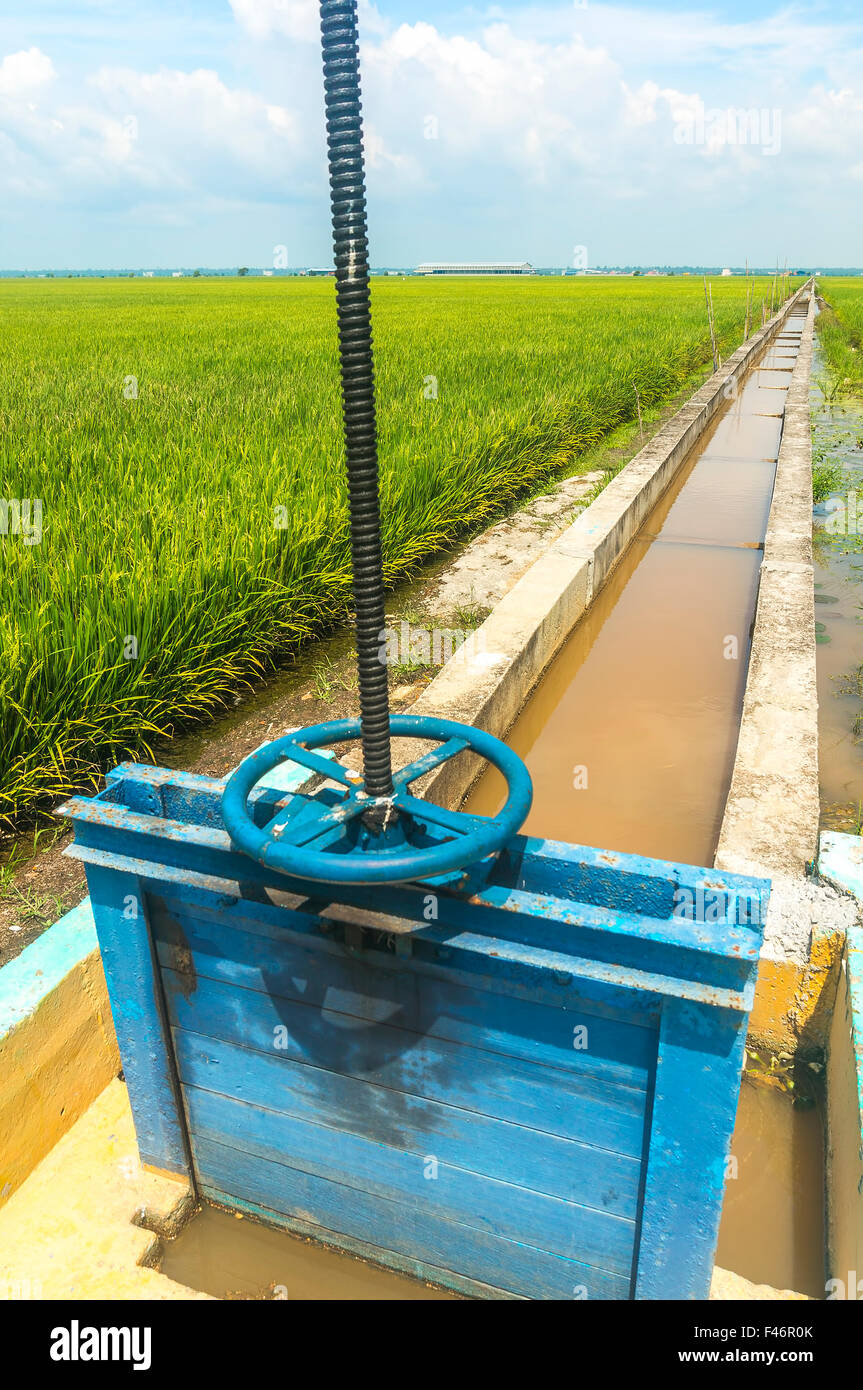 Water Control valve at paddy field Stock Photo - Alamy