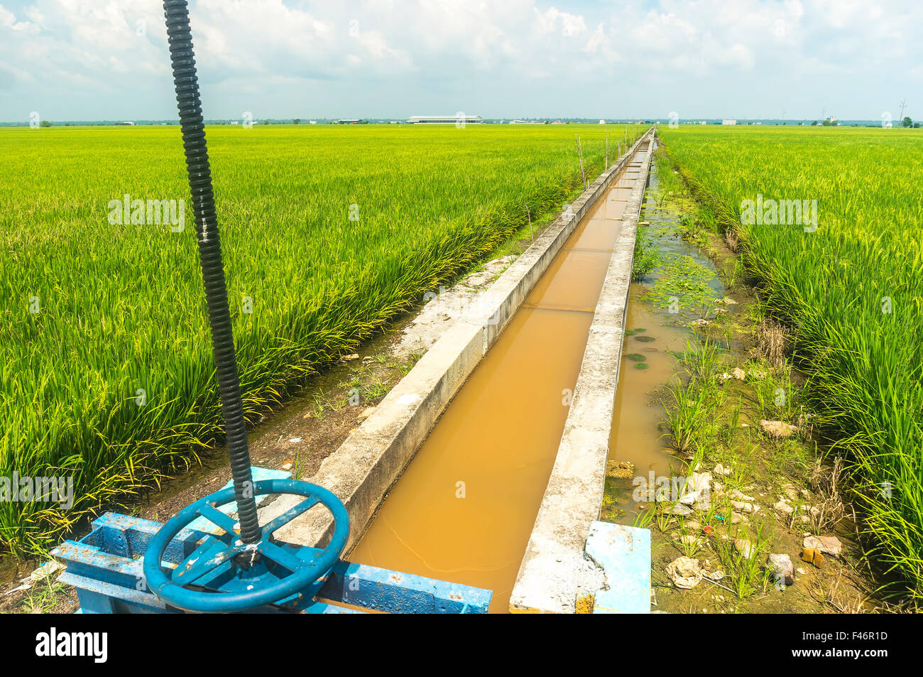 Water Control valve at paddy field Stock Photo - Alamy