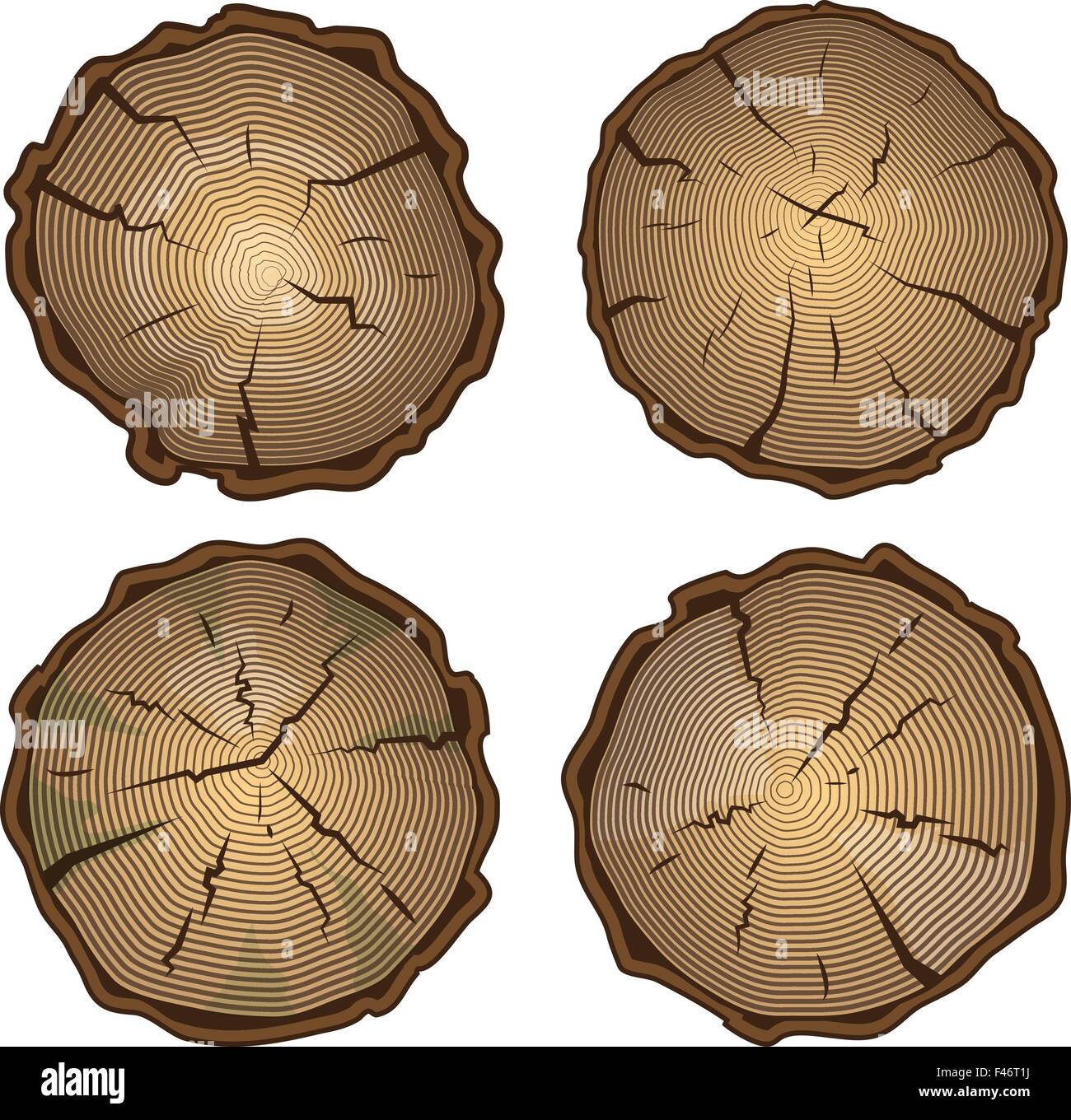 Tree stump, round cut with annual rings. Vector illustration Stock ...