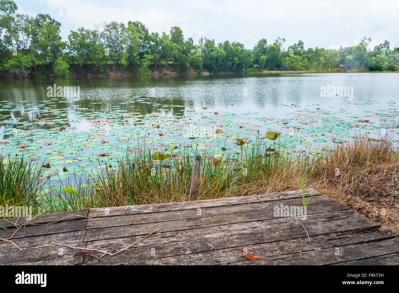 Old wooden platform facing to lake Stock Photo - Alamy
