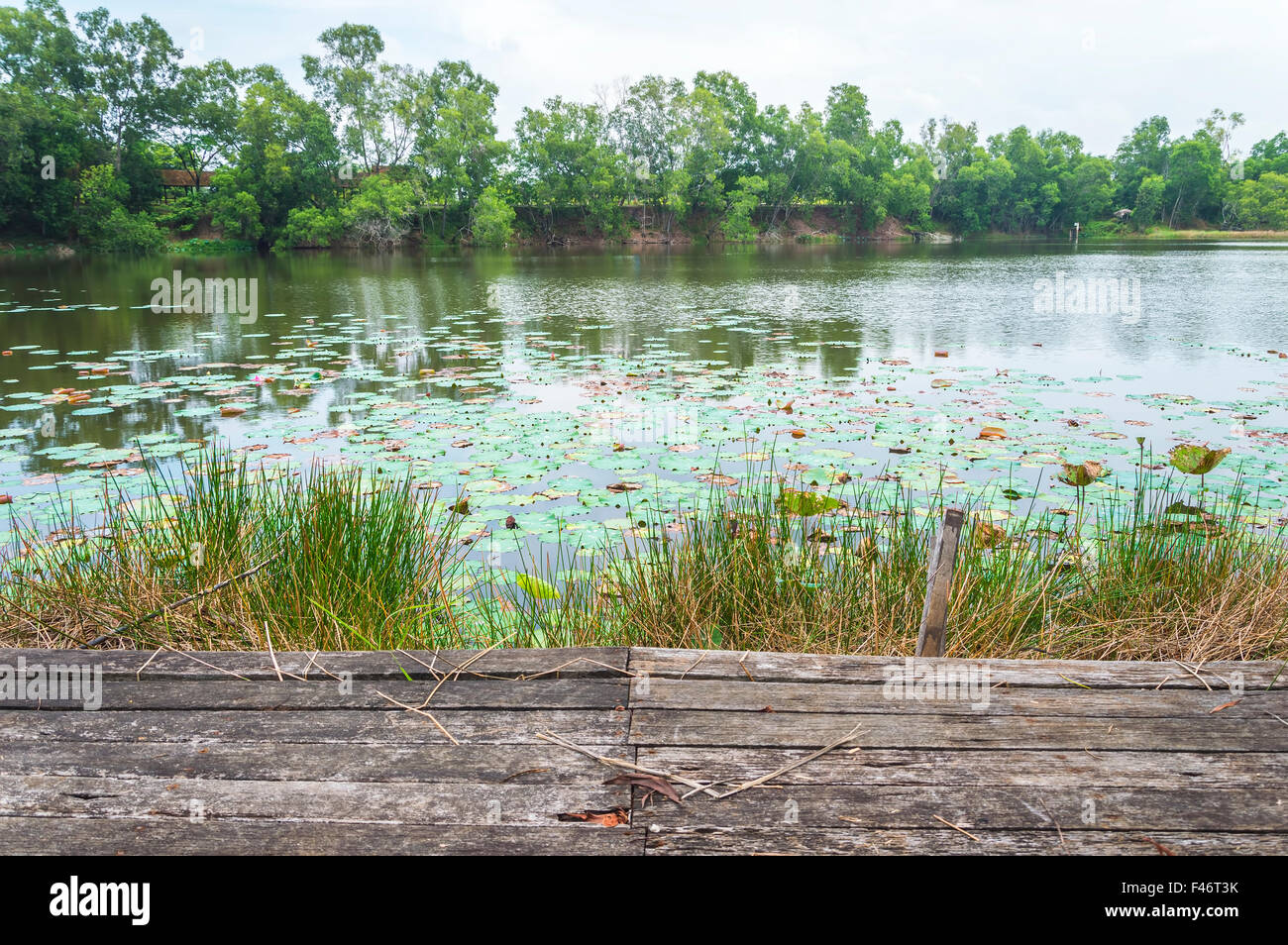 Old wooden platform facing to lake Stock Photo - Alamy