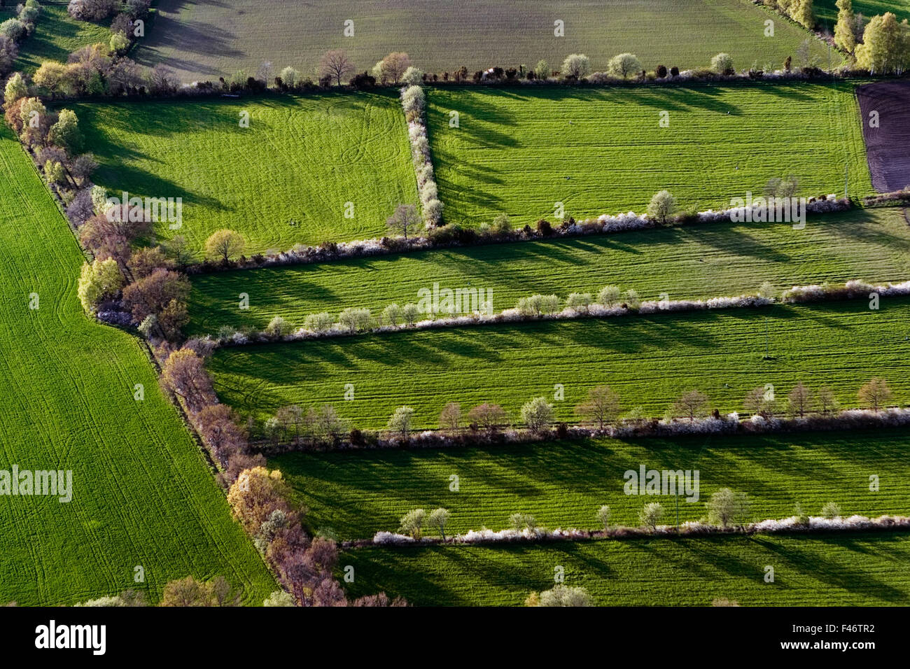 Arable and pasture land, aerial view, Oland, Sweden Stock Photo - Alamy