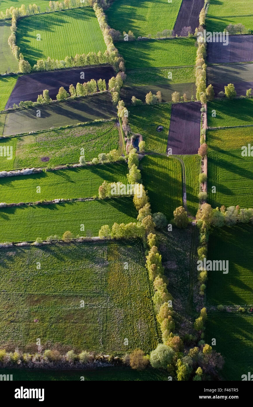 Arable and pasture land, aerial view, Oland, Sweden Stock Photo - Alamy