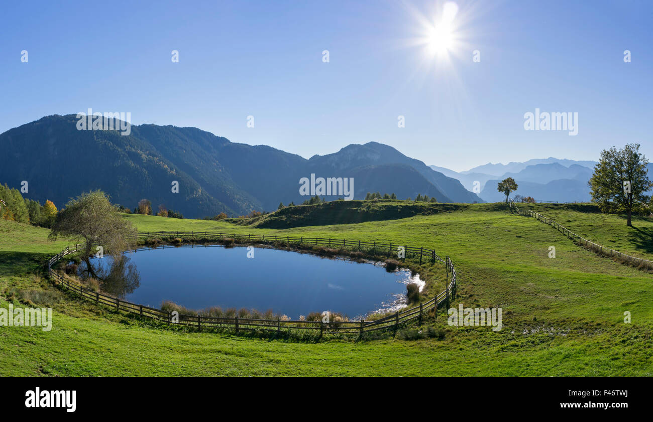 Pond at the Zisloner Alm, Truden, Trodena, Trentino-Alto Adige Province ...