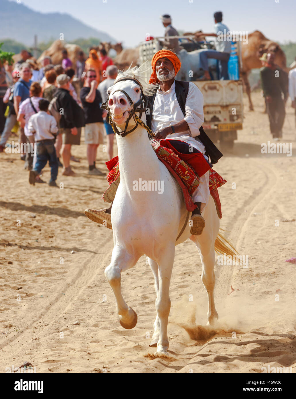 PUSHKAR, INDIA - NOV. 21, 2012: An unidentified rider on a white horse ...