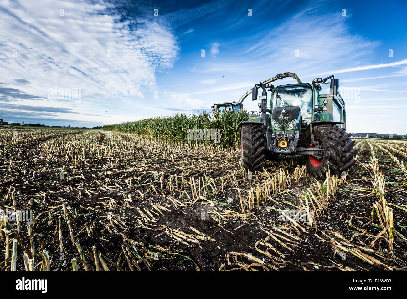 Maize chopper with tractor, harvest period, farmers in Maisen ...