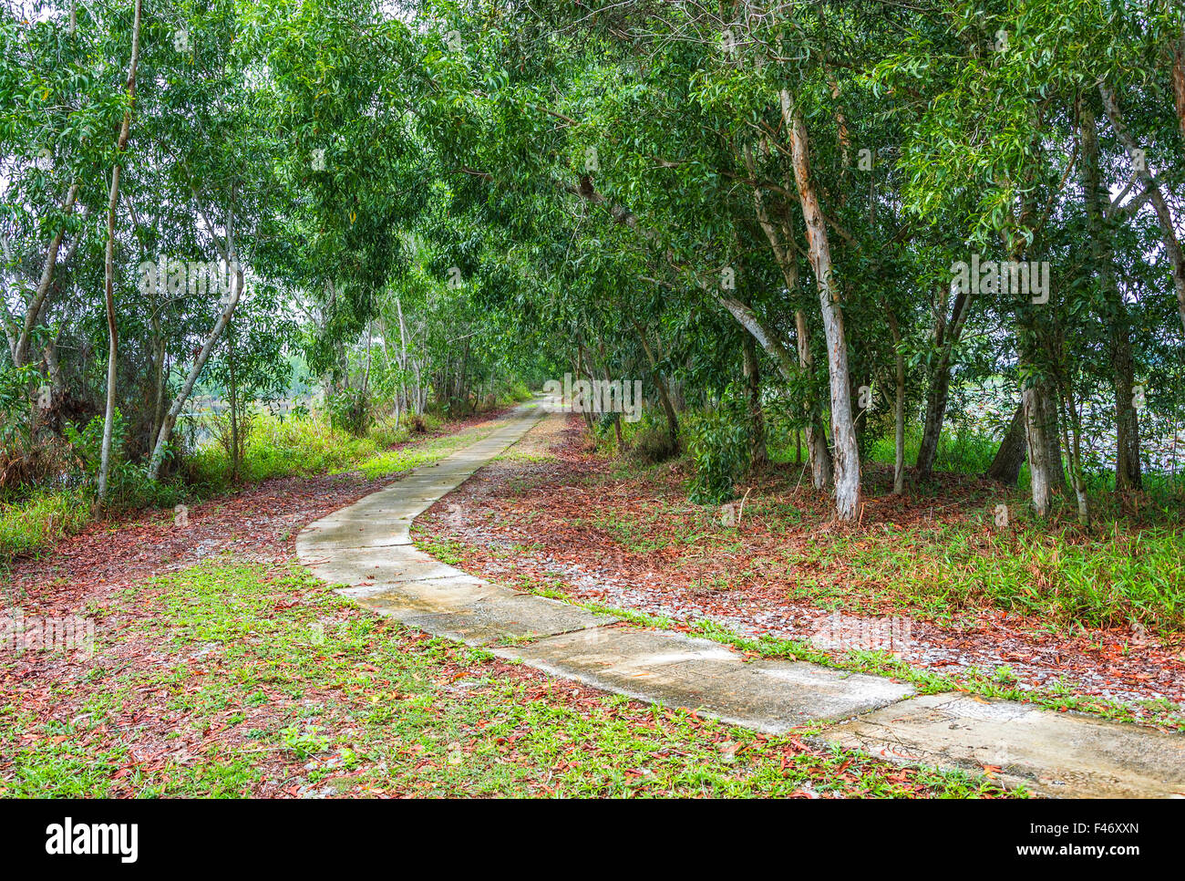 Garden track hi-res stock photography and images - Alamy