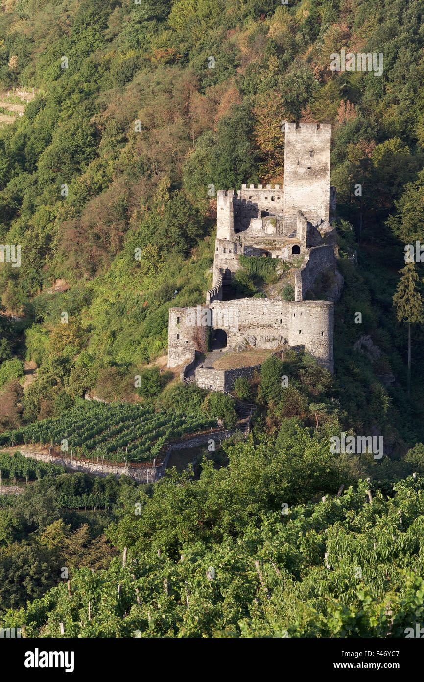 Hinterhaus castle ruins, Spitz, Wachau, Waldviertel, Lower Austria ...