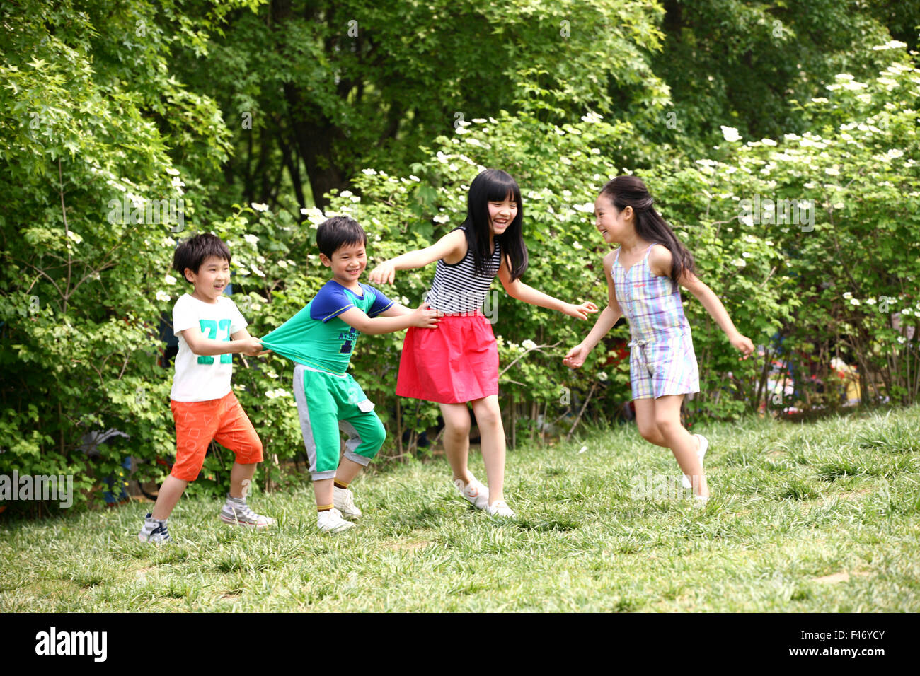 Children playing games in field Stock Photo - Alamy