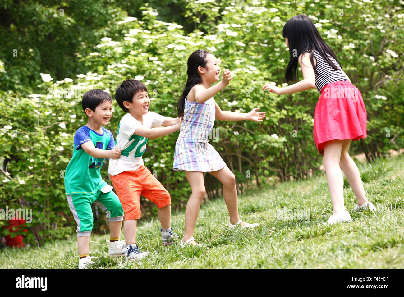 Children playing games in field Stock Photo - Alamy