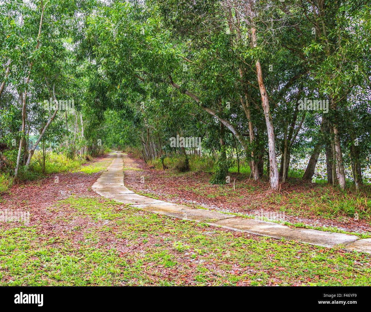 Garden track hi-res stock photography and images - Alamy