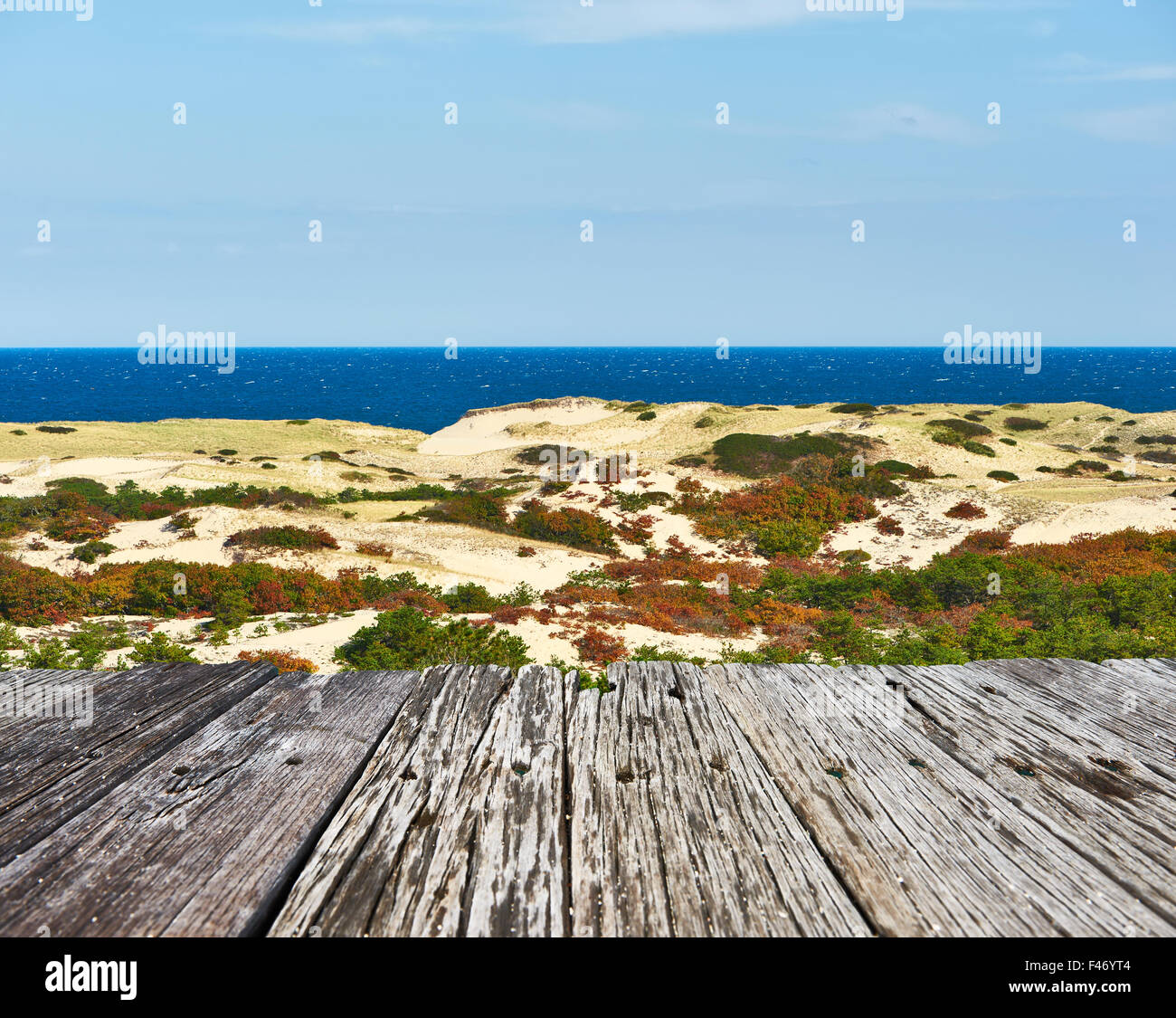 Landscape with sand dunes at Cape Cod Stock Photo - Alamy