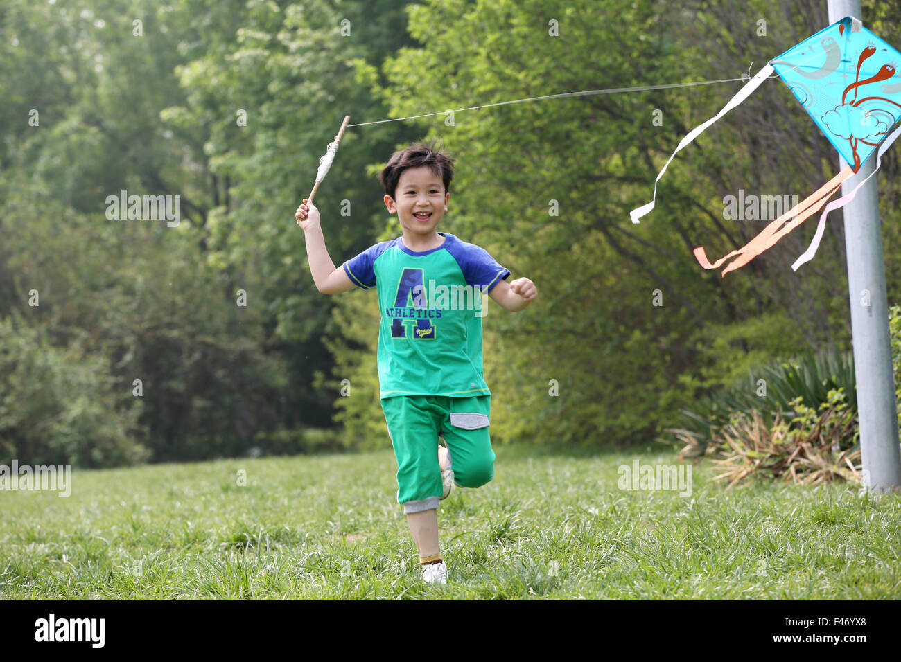 Boy kite in park hi-res stock photography and images - Alamy