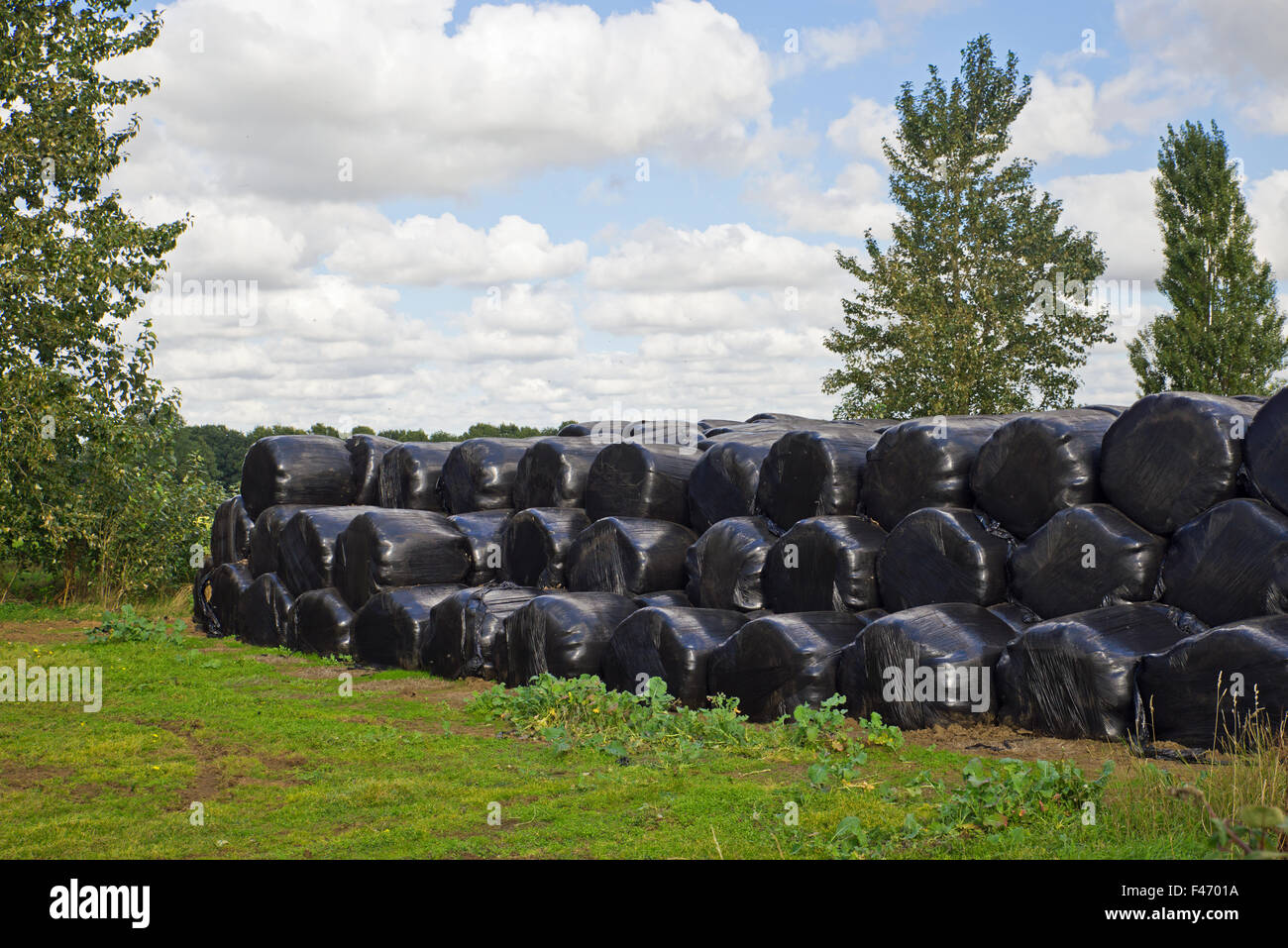 stacked round Hay bales United Kingdom Stock Photo - Alamy