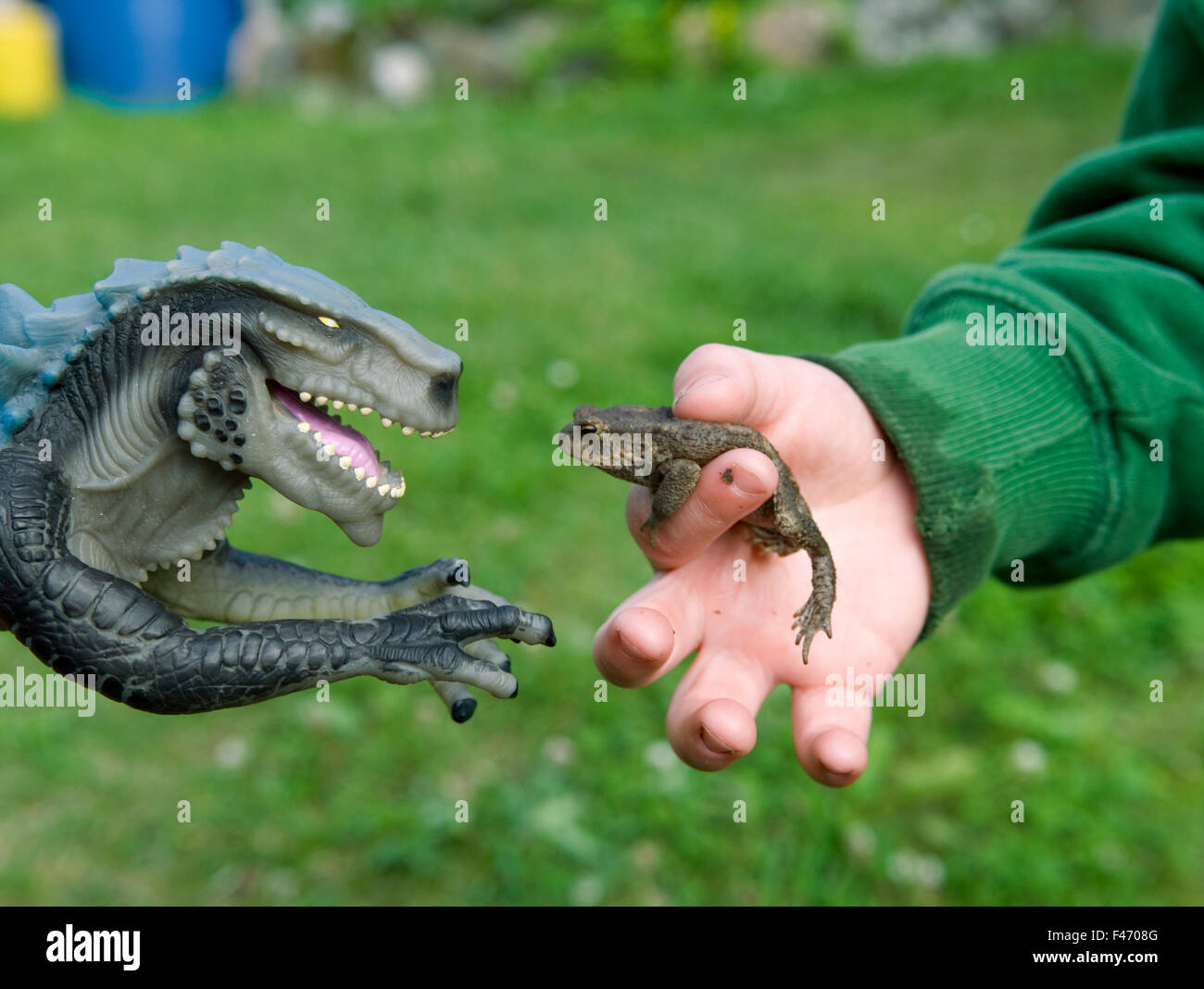 A toad and a toy dinosaur Stock Photo - Alamy