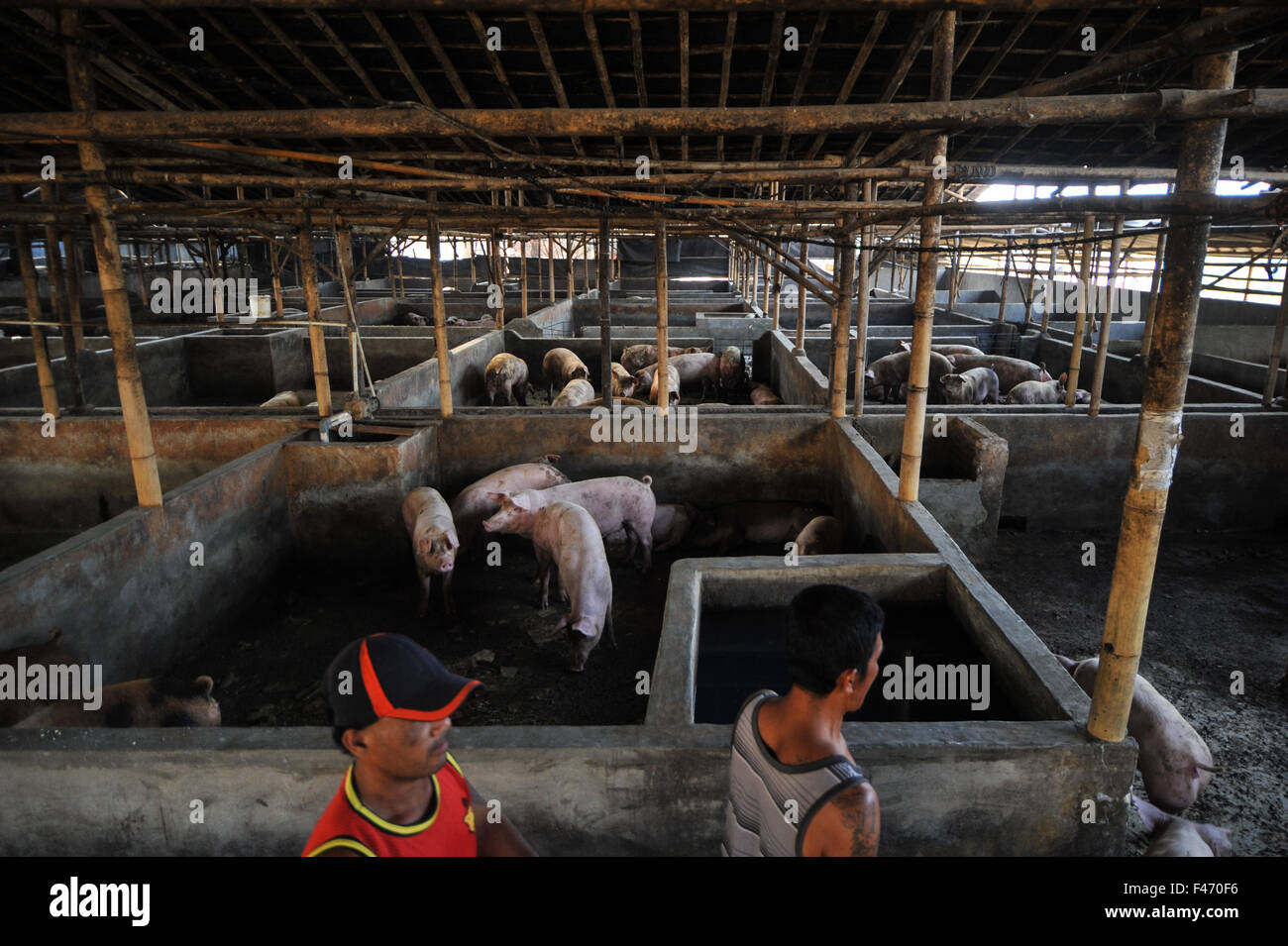 Tangerang, Indonesia. 15th Oct, 2015. Workers prepare to empty a ...