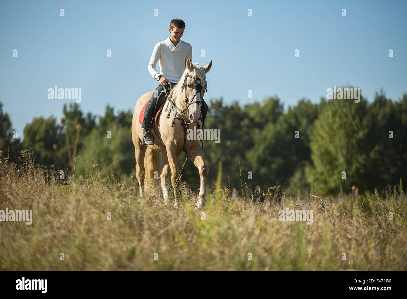 Black Man Riding White Horse High Resolution Stock Photography and ...