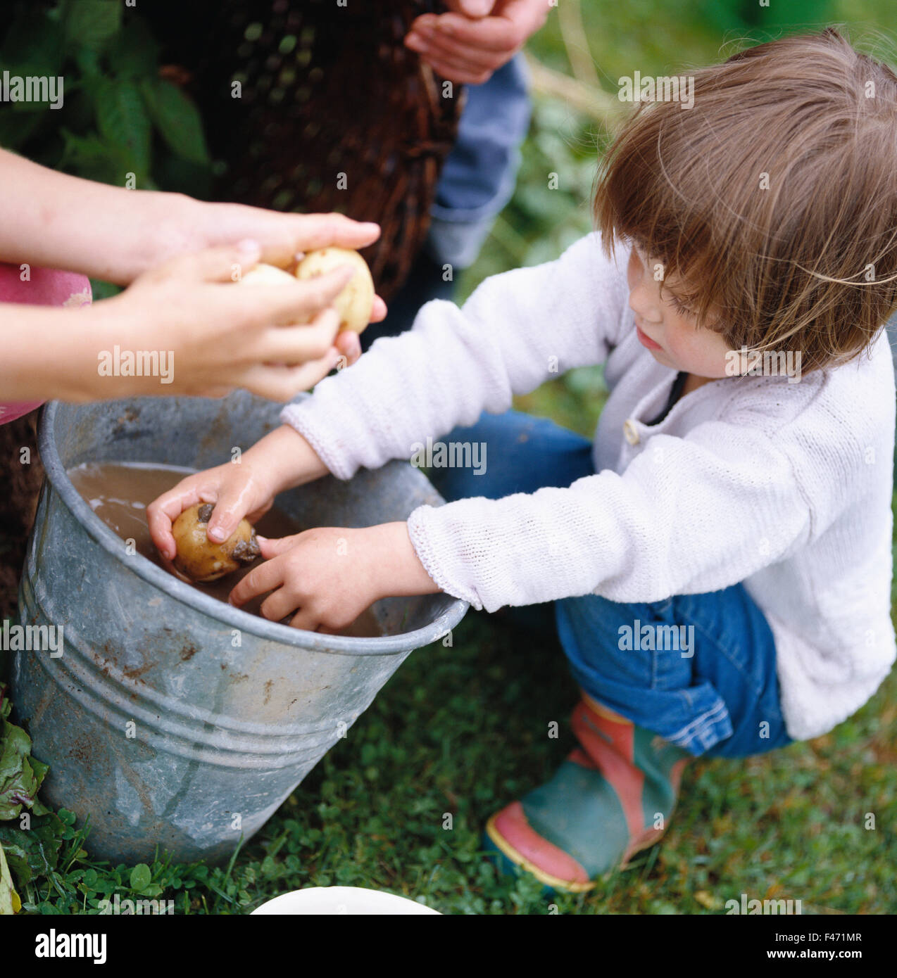 A girl washing potato in a garden Stock Photo - Alamy