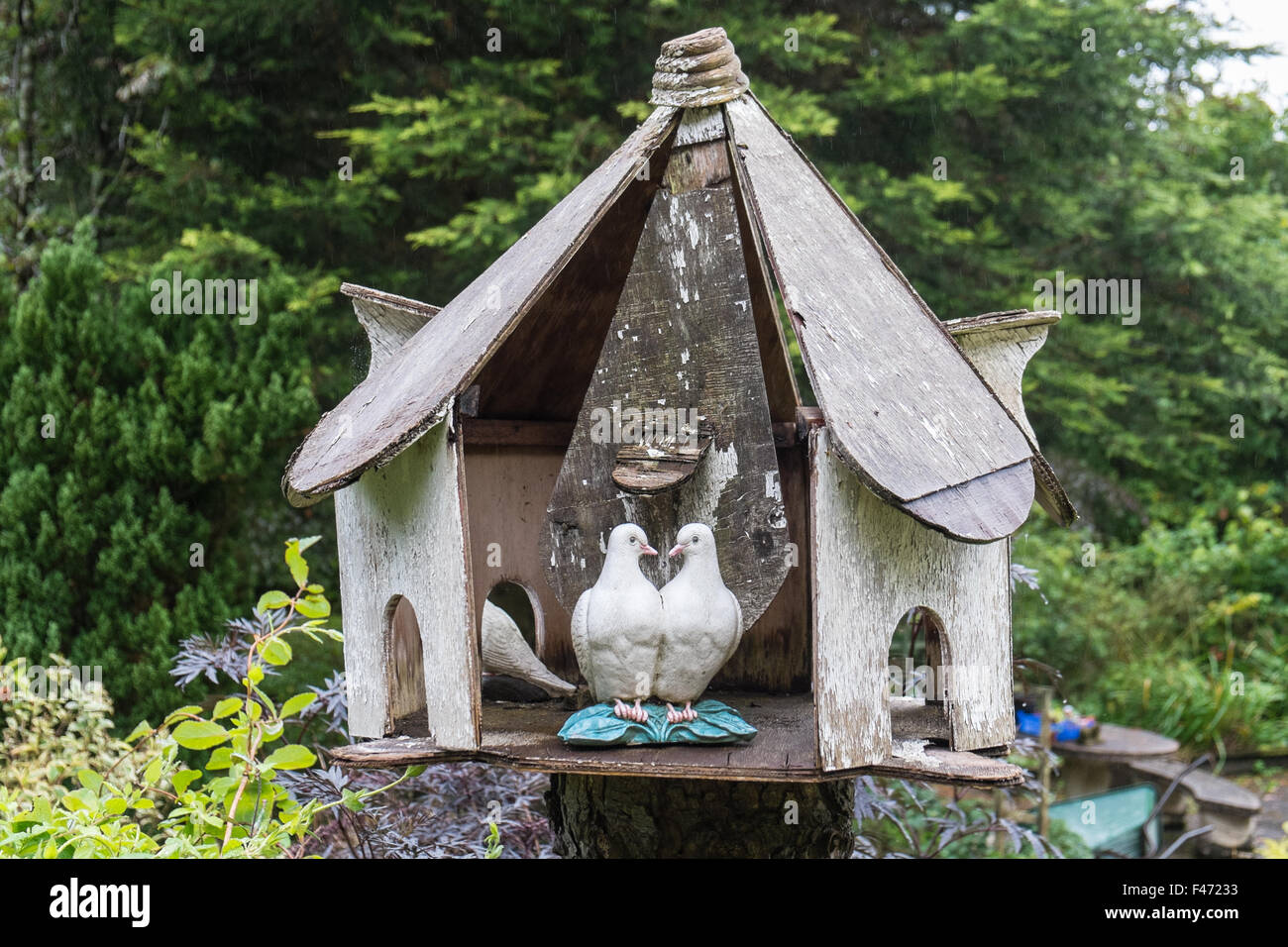 Dovecot and pigeons hi-res stock photography and images - Alamy