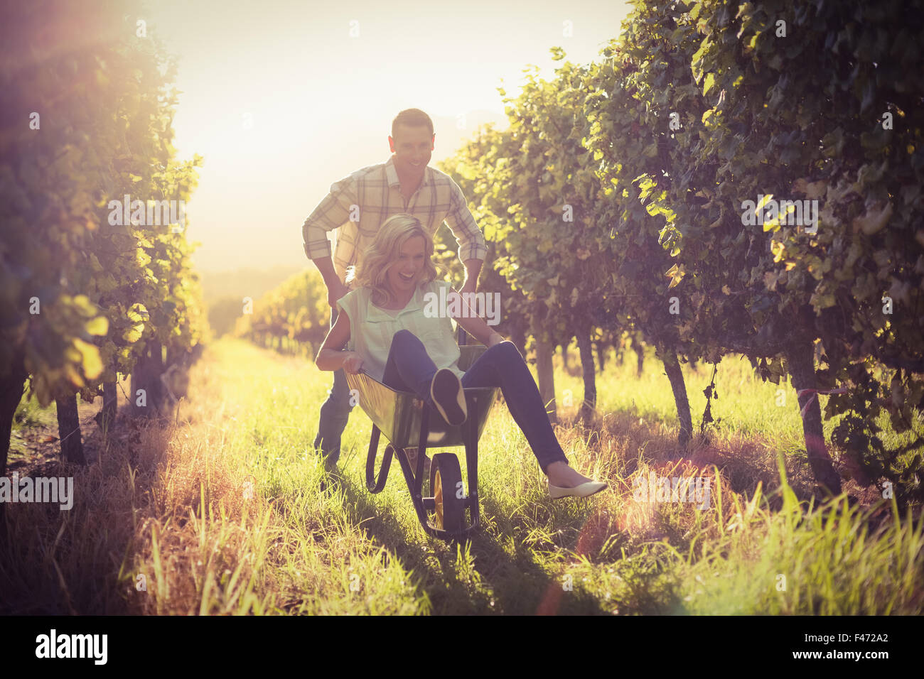 Happy couple playing with a wheelbarrow between grapevine Stock Photo ...