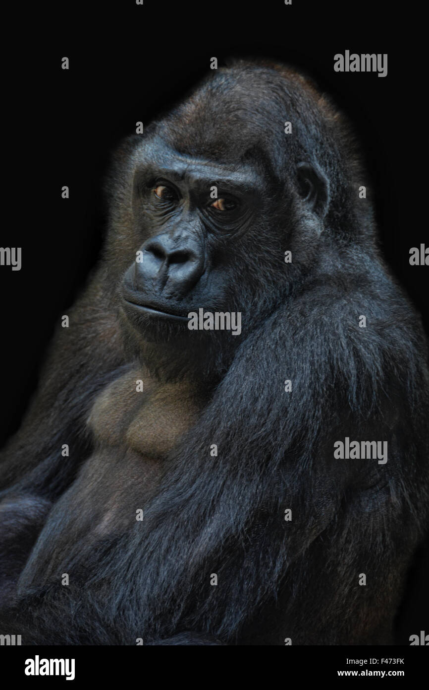 life is not allways funny Stock Photo - Alamy