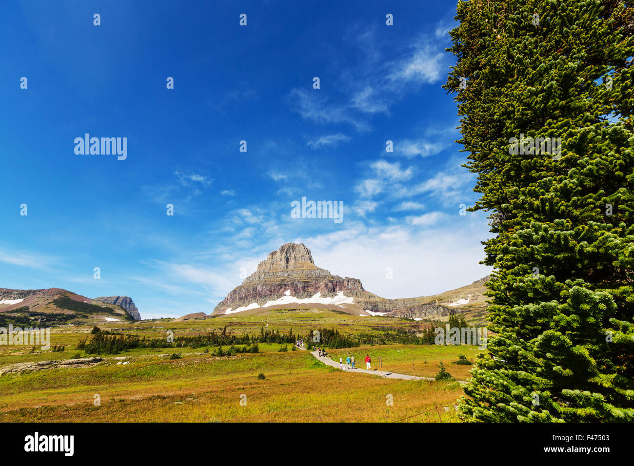 Logan pass hike montana hi-res stock photography and images - Alamy