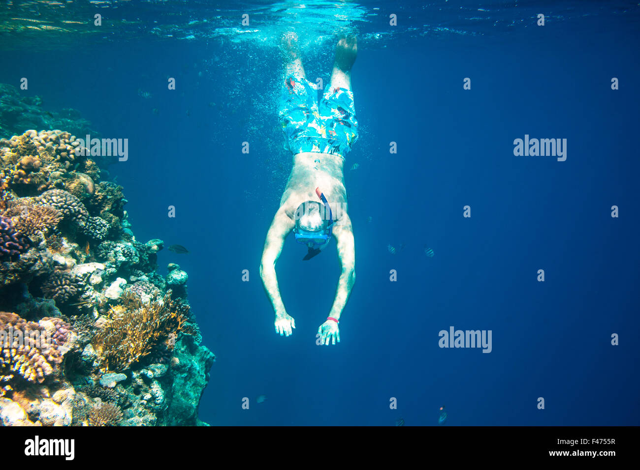 Refreshing dive dip hi-res stock photography and images - Alamy