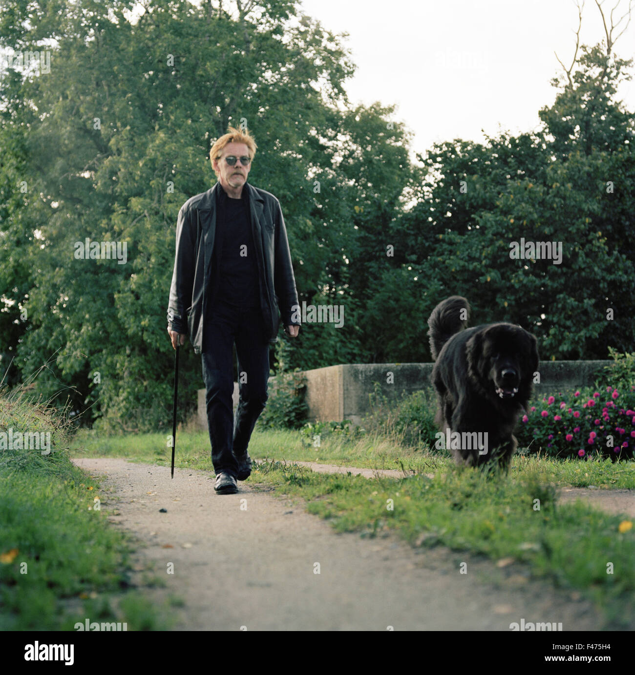 A man walking his dog, Sweden Stock Photo - Alamy