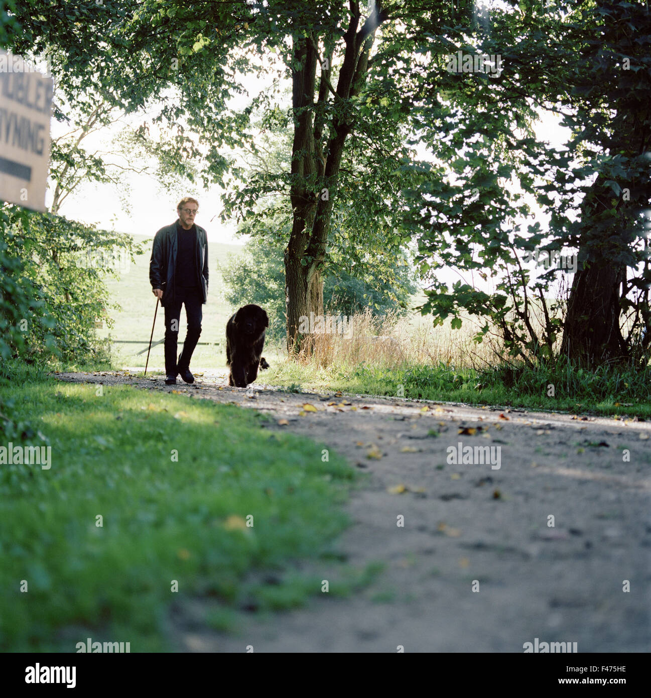 A man walking his dog, Sweden Stock Photo - Alamy
