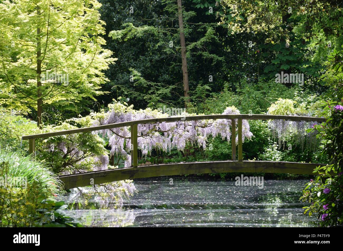 Wooden walking bridge over hi-res stock photography and images - Alamy