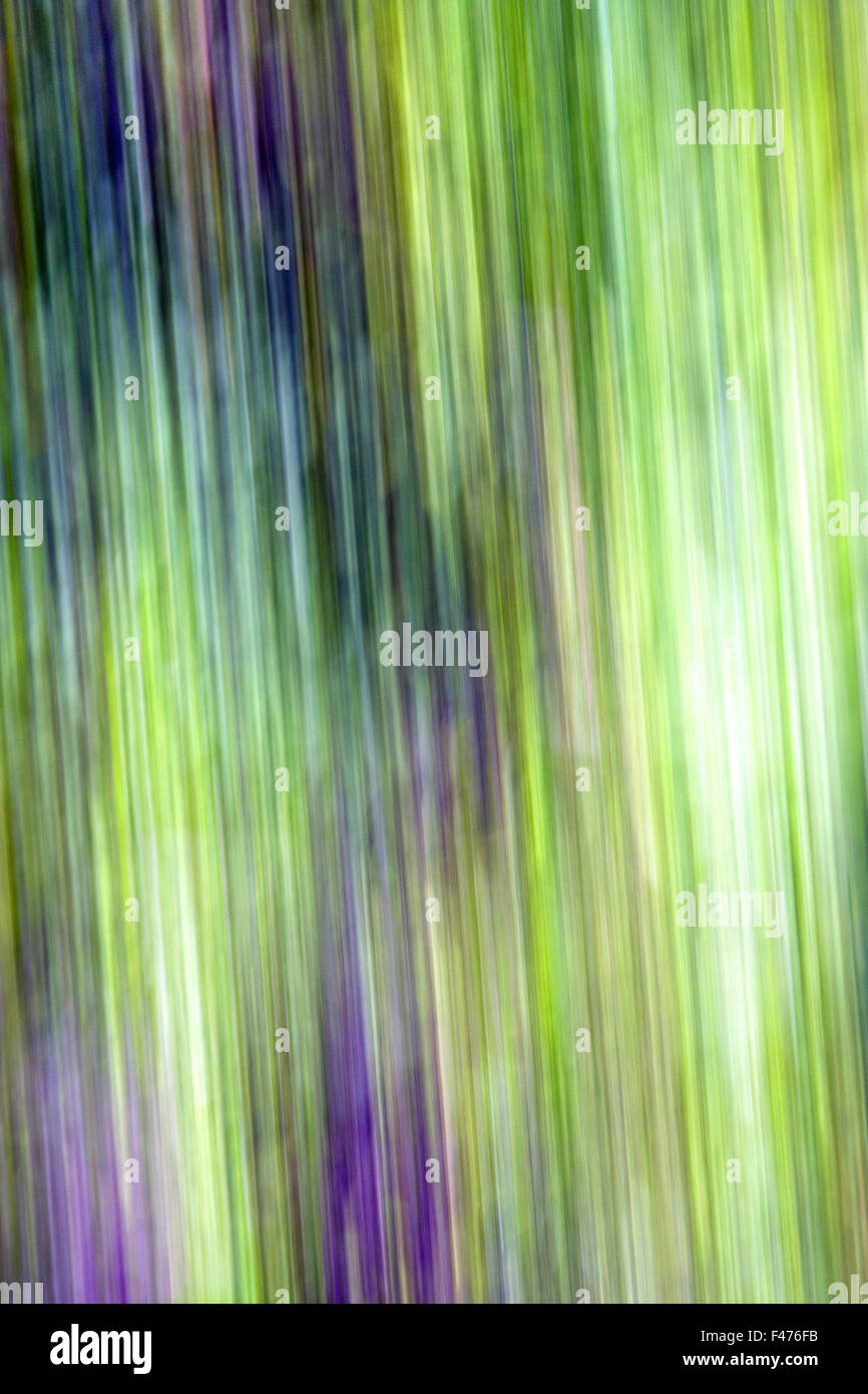 green nature background fast line Stock Photo - Alamy