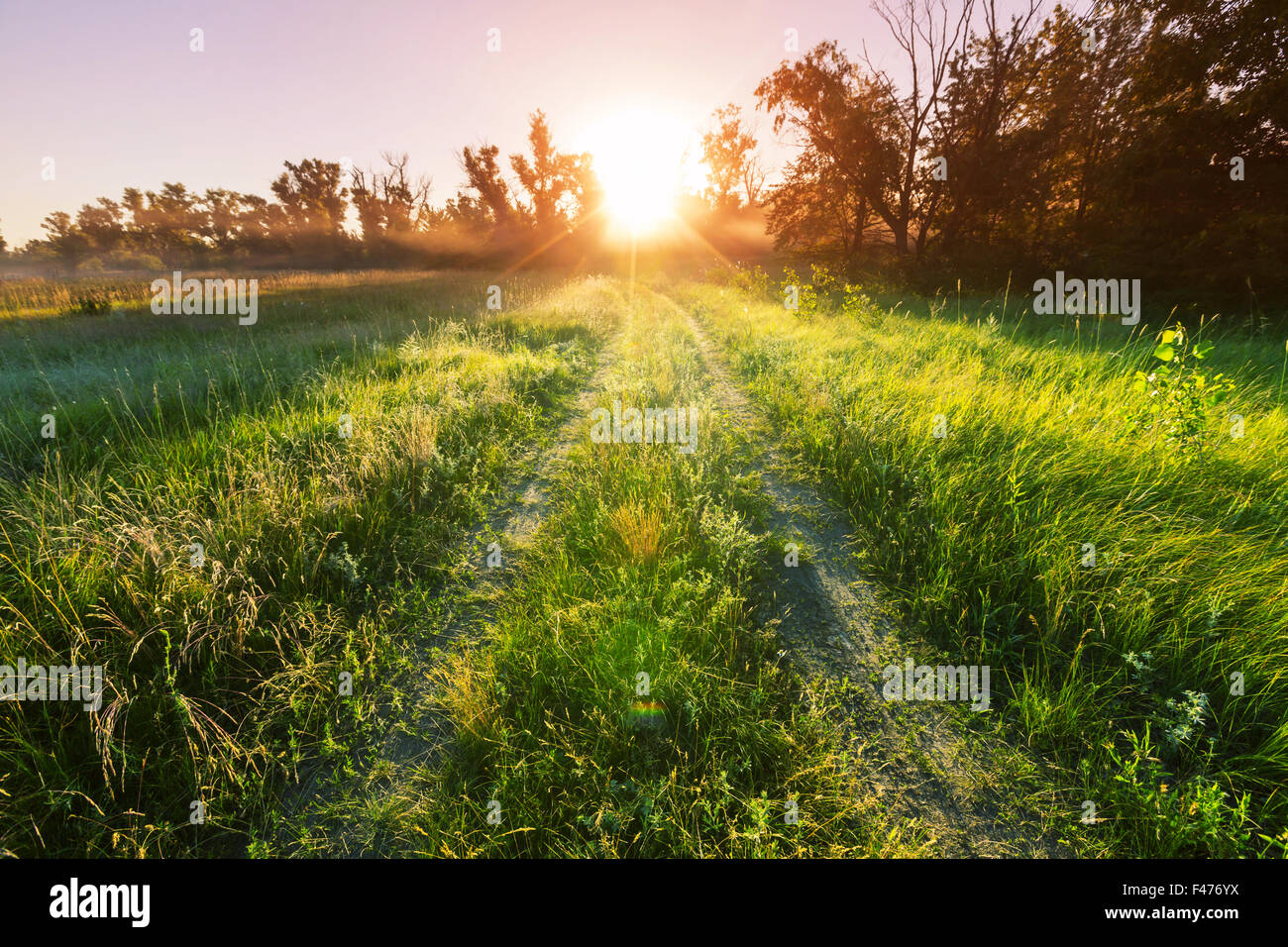 Road in field Stock Photo - Alamy