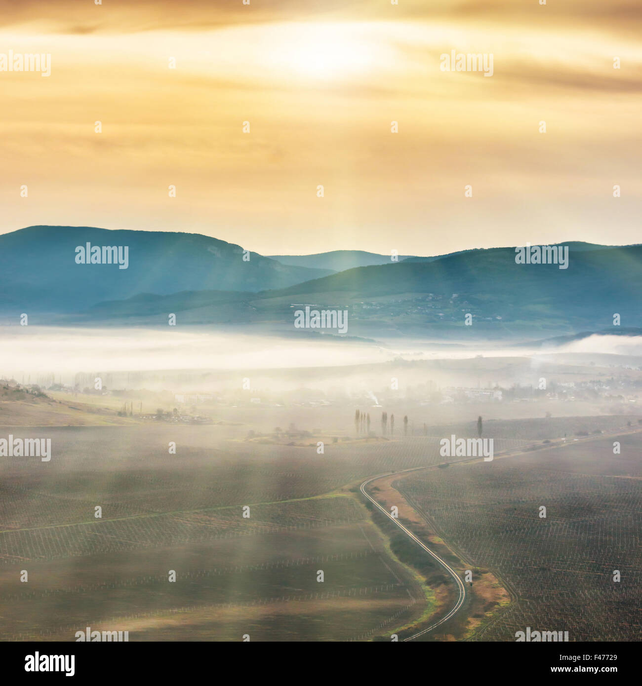 Mist covered road hi-res stock photography and images - Alamy