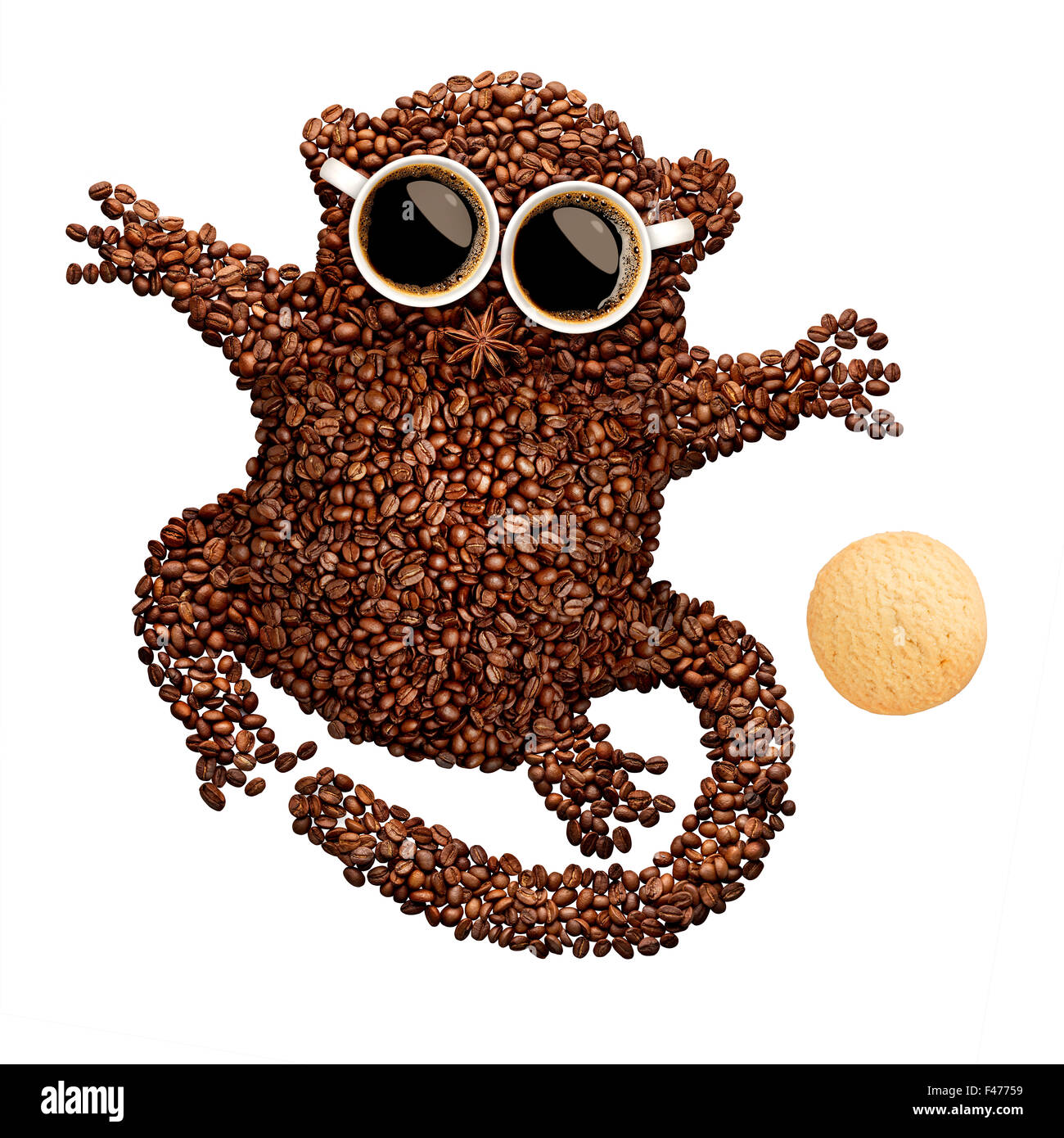Tarsius tarsier Cut Out Stock Images & Pictures - Alamy