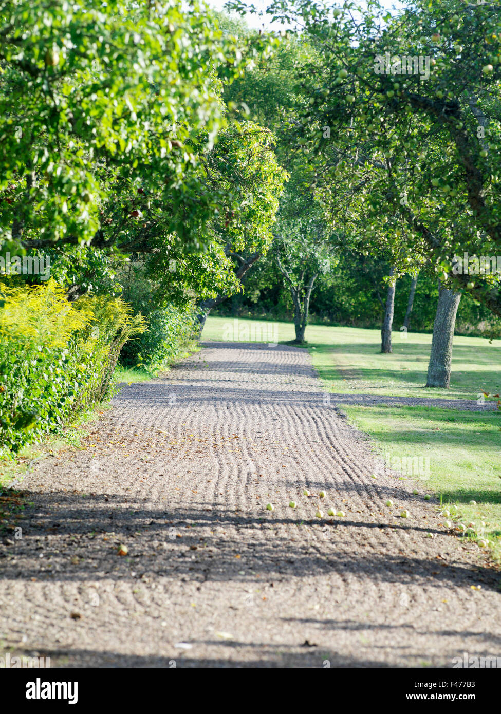 A gravel path in a park Stock Photo - Alamy