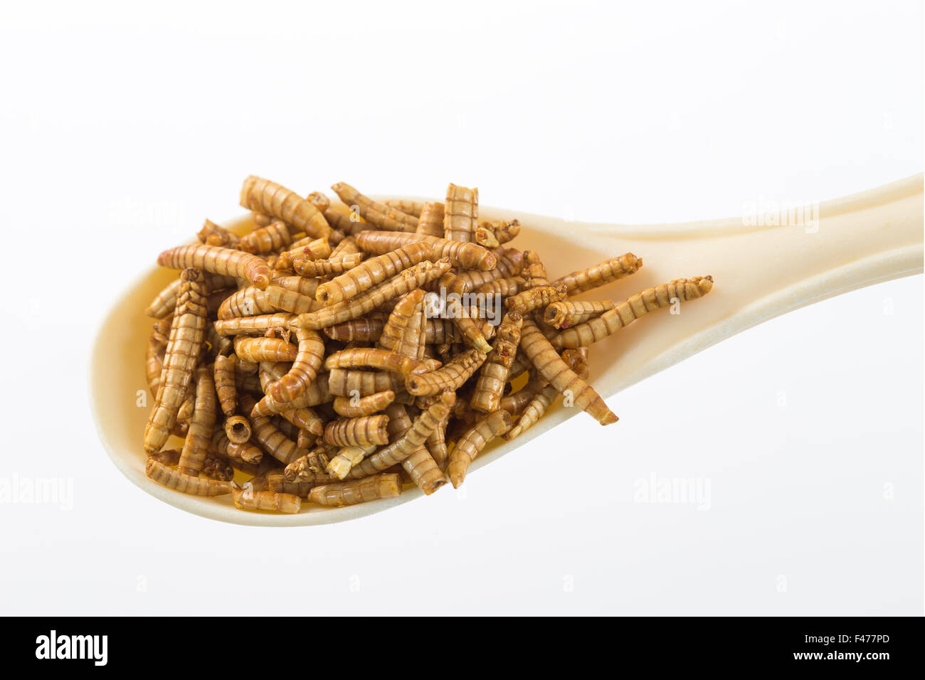 Diet insects and larvae hi-res stock photography and images - Alamy