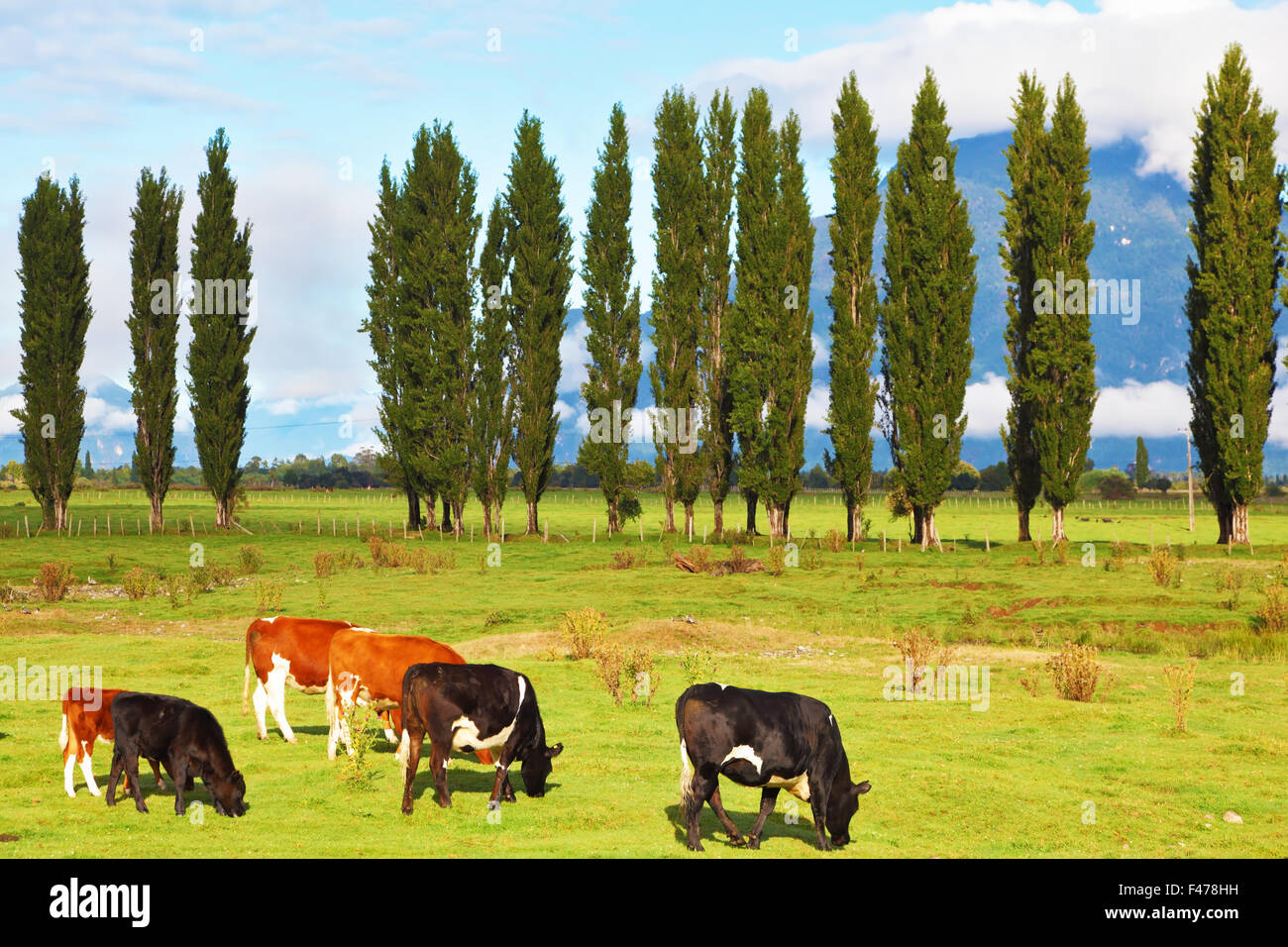 Rural idyll hi-res stock photography and images - Alamy