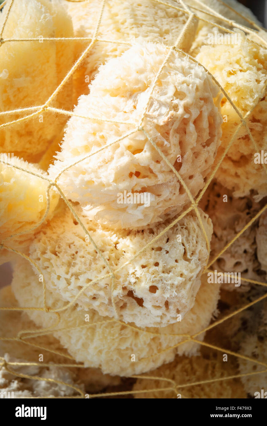 Still life sponge hi-res stock photography and images - Alamy