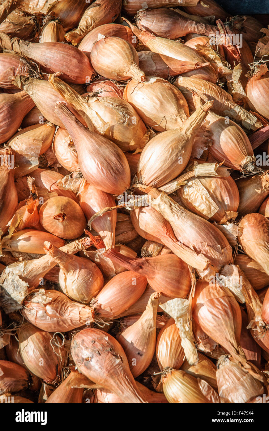 Shallot hi-res stock photography and images - Alamy