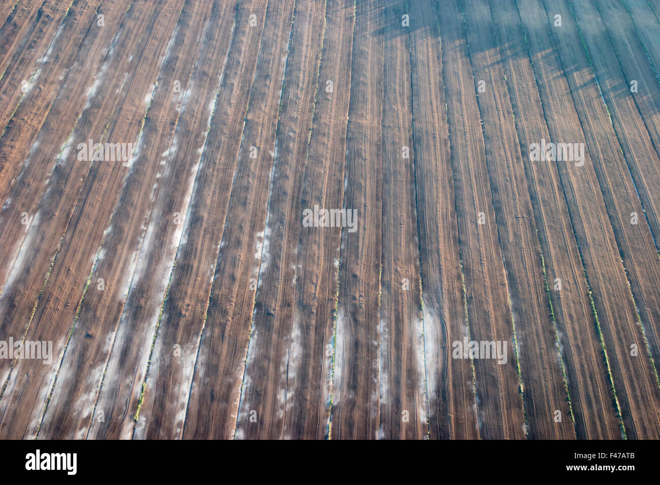 Peat moss, Vastmanland, Sweden Stock Photo - Alamy