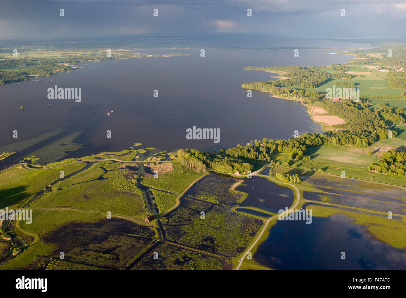 Wetlands, Narke, Sweden Stock Photo - Alamy