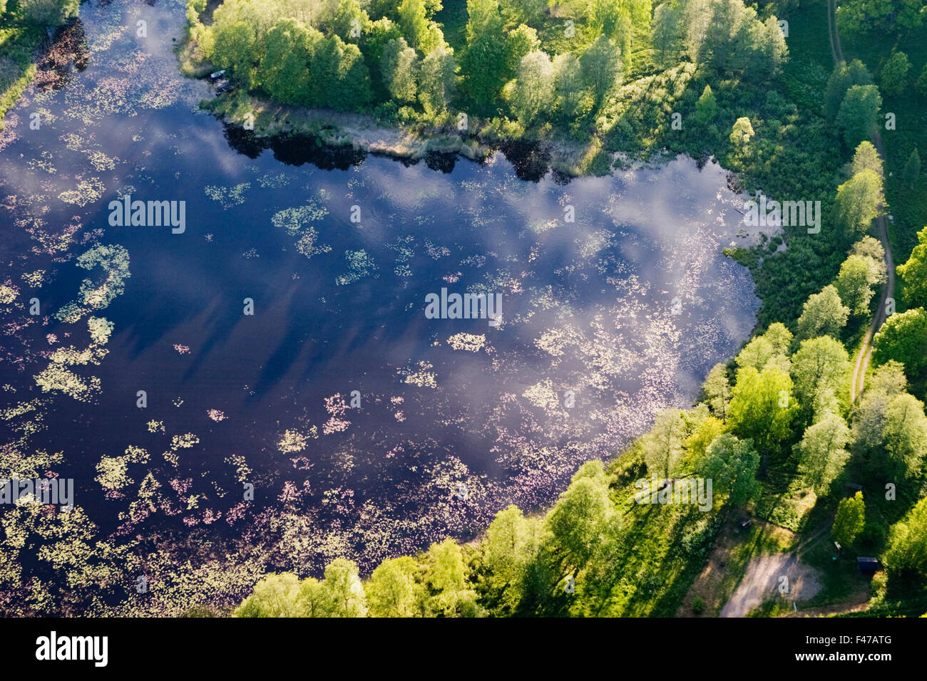 Narke forest hi-res stock photography and images - Alamy