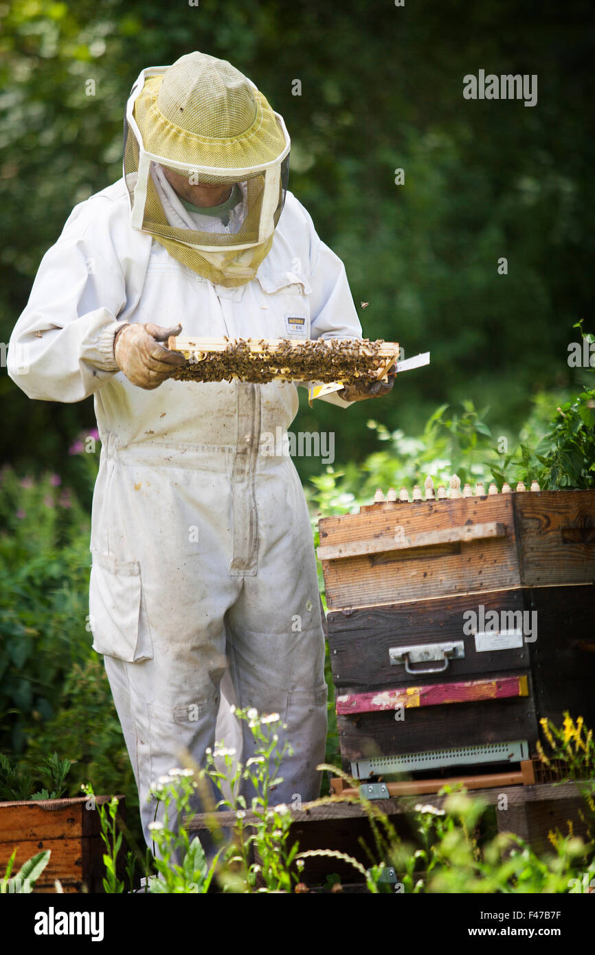 Keeping to oneself hi-res stock photography and images - Alamy