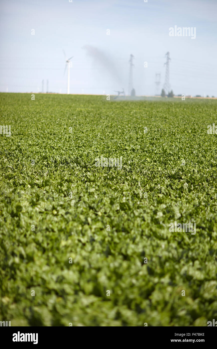 Environment conversion hi-res stock photography and images - Alamy