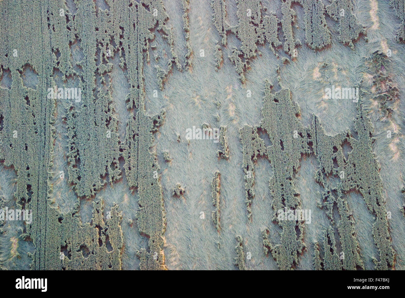 A field of layers, Sweden Stock Photo - Alamy