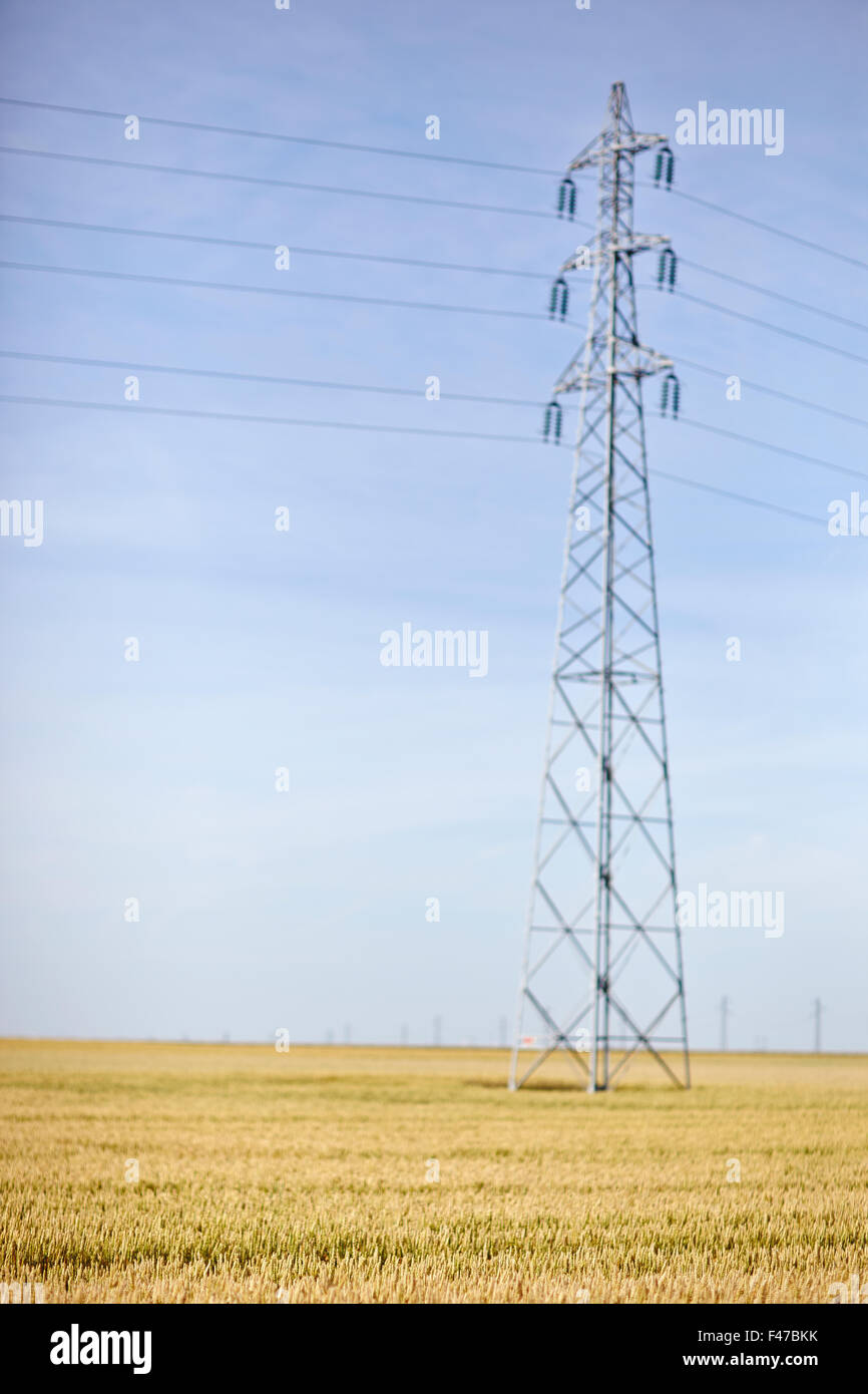 ELECTRICITY POWER LINE Stock Photo - Alamy