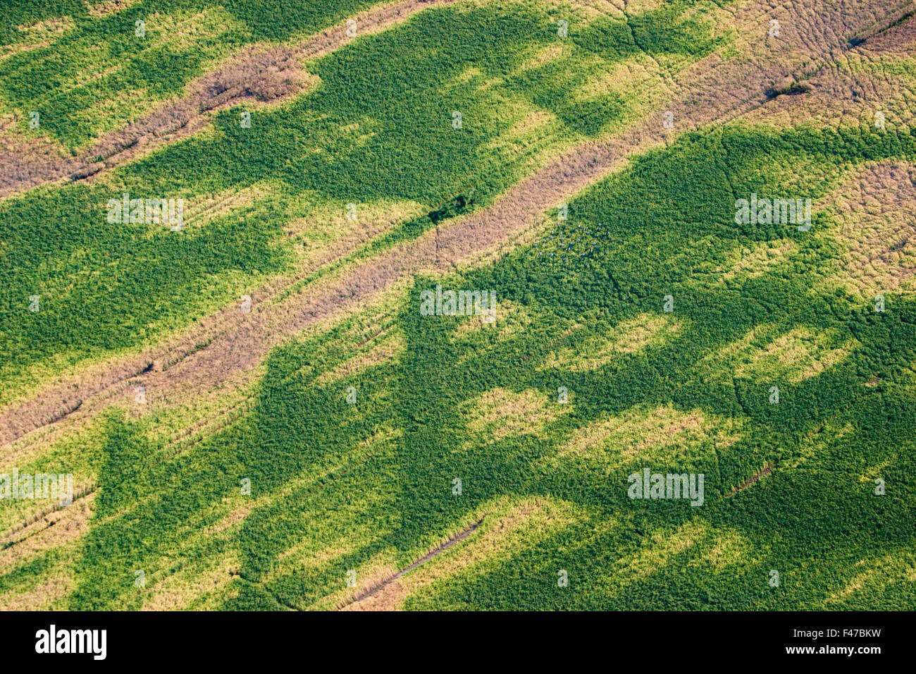 Aerial view of a field, Sweden Stock Photo - Alamy