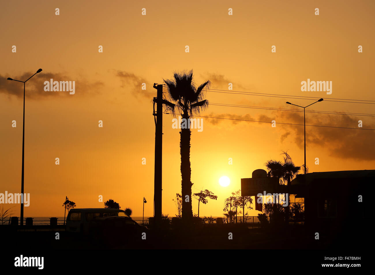 Palm trees over bright hi-res stock photography and images - Alamy